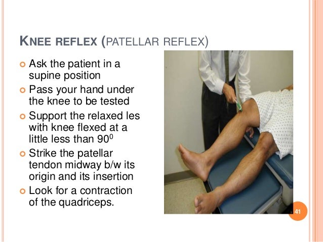 Patellar Tendon Reflex