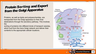Protein Sorting and Transport Through Golgi complex | PPTX