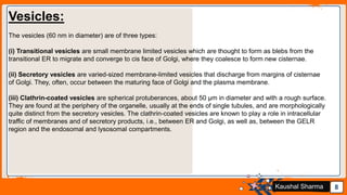 Protein Sorting and Transport Through Golgi complex | PPTX