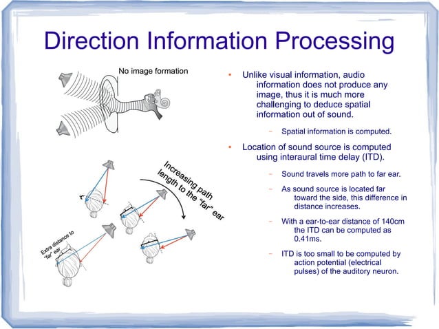 Introduction to Spatial Auditory Processing | PDF