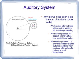 Introduction to Spatial Auditory Processing | PDF