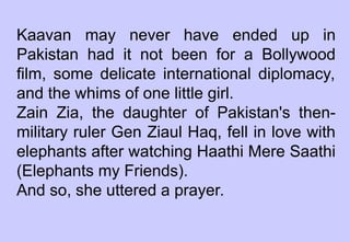 kavaan. the story of an elephantin pakistan | PPT
