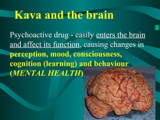Kava & health | PPT