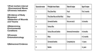 Forensic Entomology and insects & their lifecycles.pptx