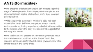 Forensic Entomology and insects & their lifecycles.pptx