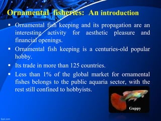 Ornamental aquaculture scenario | PPTX