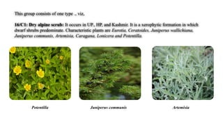 India has many types of forests, including tropical evergreen, tropical ...