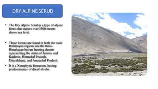 India has many types of forests, including tropical evergreen, tropical ...