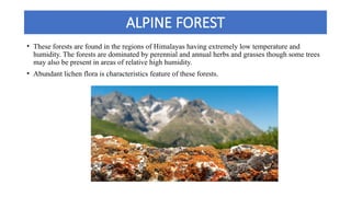 India has many types of forests, including tropical evergreen, tropical ...