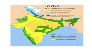 India has many types of forests, including tropical evergreen, tropical ...