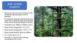 India has many types of forests, including tropical evergreen, tropical ...