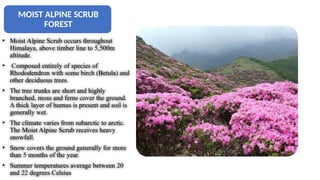 India has many types of forests, including tropical evergreen, tropical ...