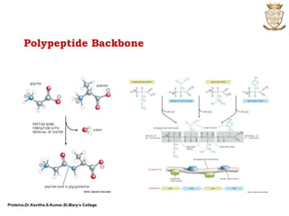 Biochemistry-PROTEINS | PPTX