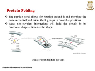 Biochemistry-PROTEINS | PPTX