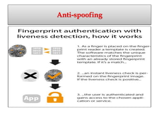 joint palmprint and palmvein verification using dual competitive coding | PPT
