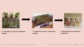 preparation and evaluation of polyherbal scented candle using volatile ...
