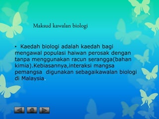 Kawalan biologi | PPTX