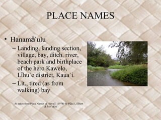 Kawelo (Ch 1) | PPT | Arms & Ammunition | Sensitive Topics