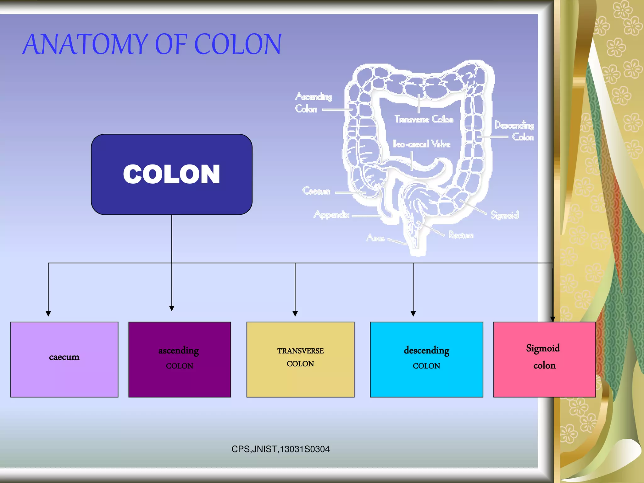 Drug Delivery To Colon | PDF
