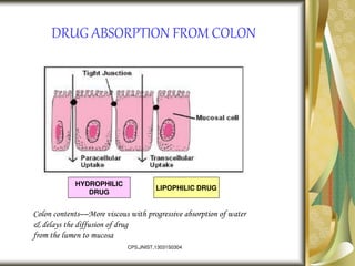 Drug Delivery To Colon | PDF