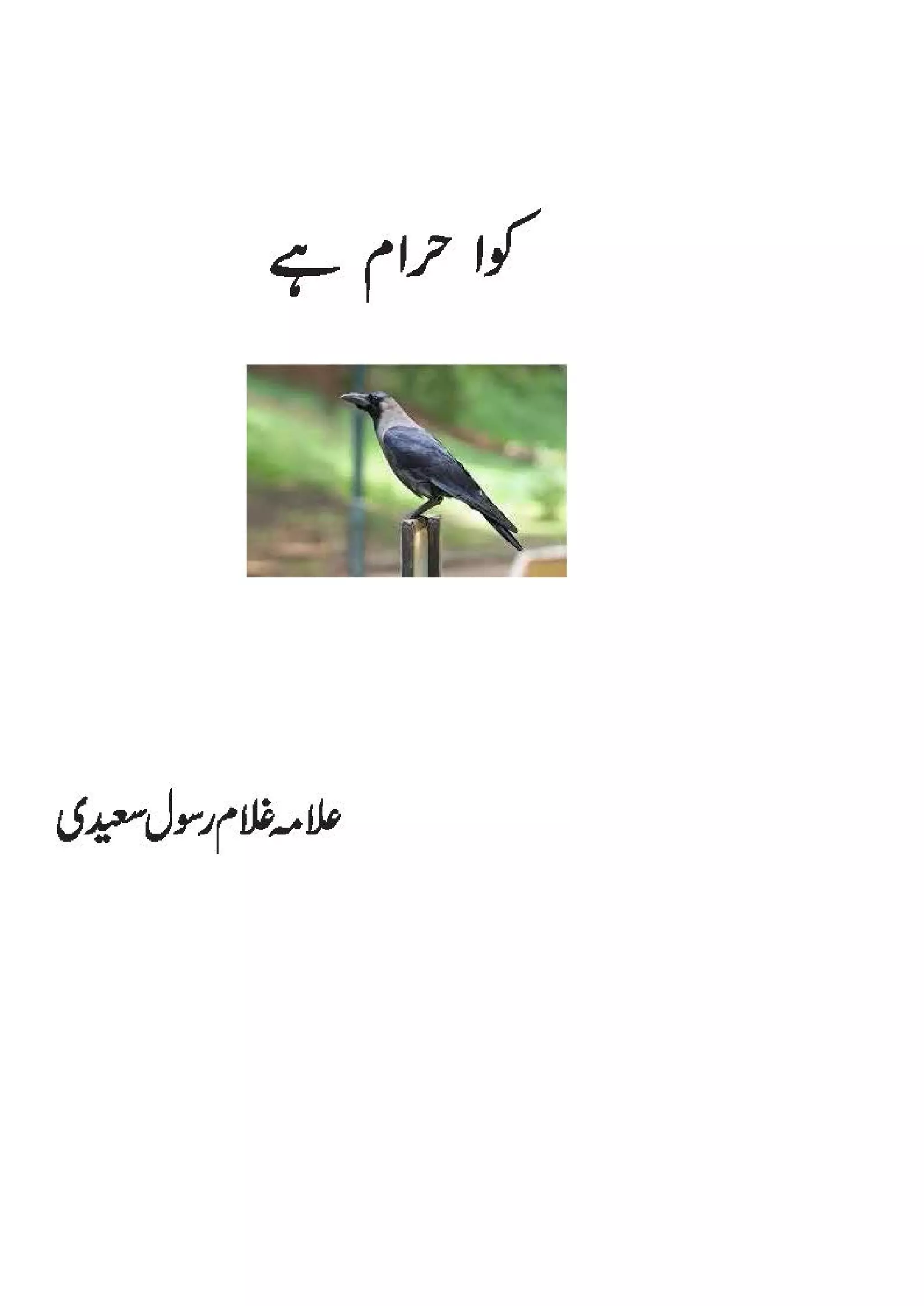 Kawwa haram hey by allama ghulam rasool saeedi | PDF