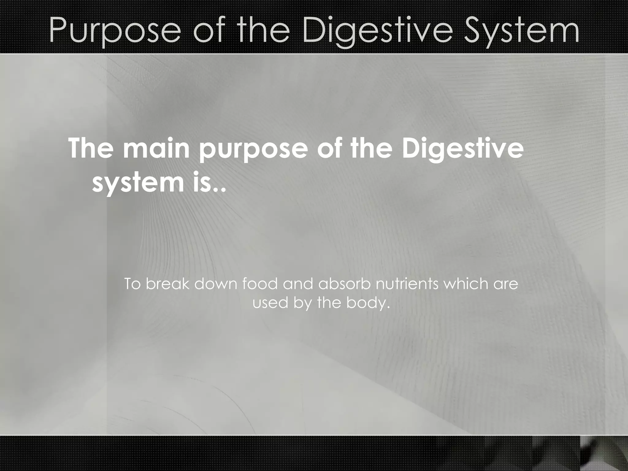 The Digestive System | PPT