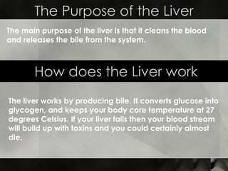 The Digestive System | PPT