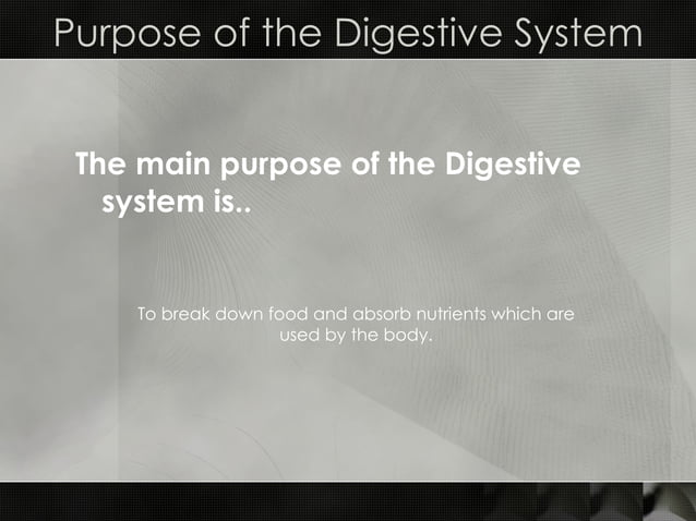 The Digestive System | PPT