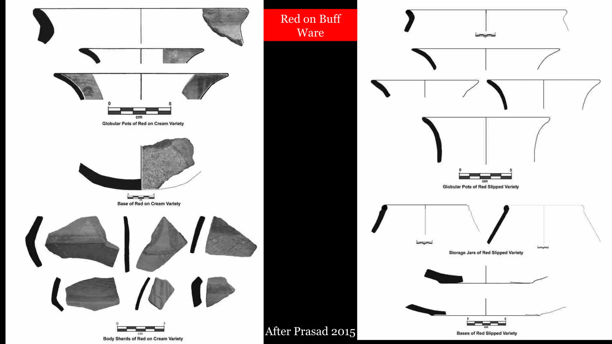 Kayatha Chalcolithic Culture of Central India | PPTX