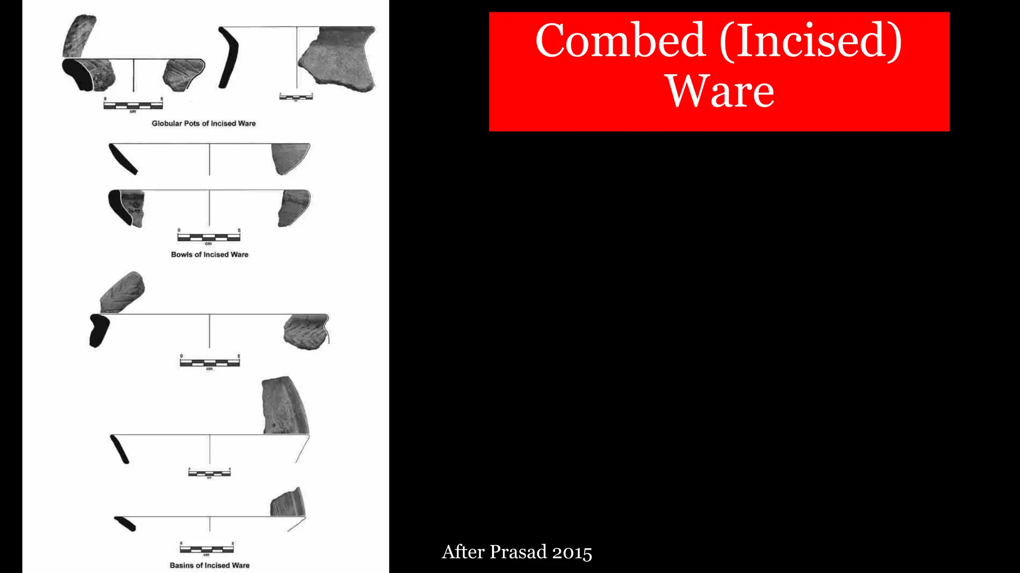 Kayatha Chalcolithic Culture of Central India | PPTX