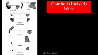 Kayatha Chalcolithic Culture of Central India | PPTX