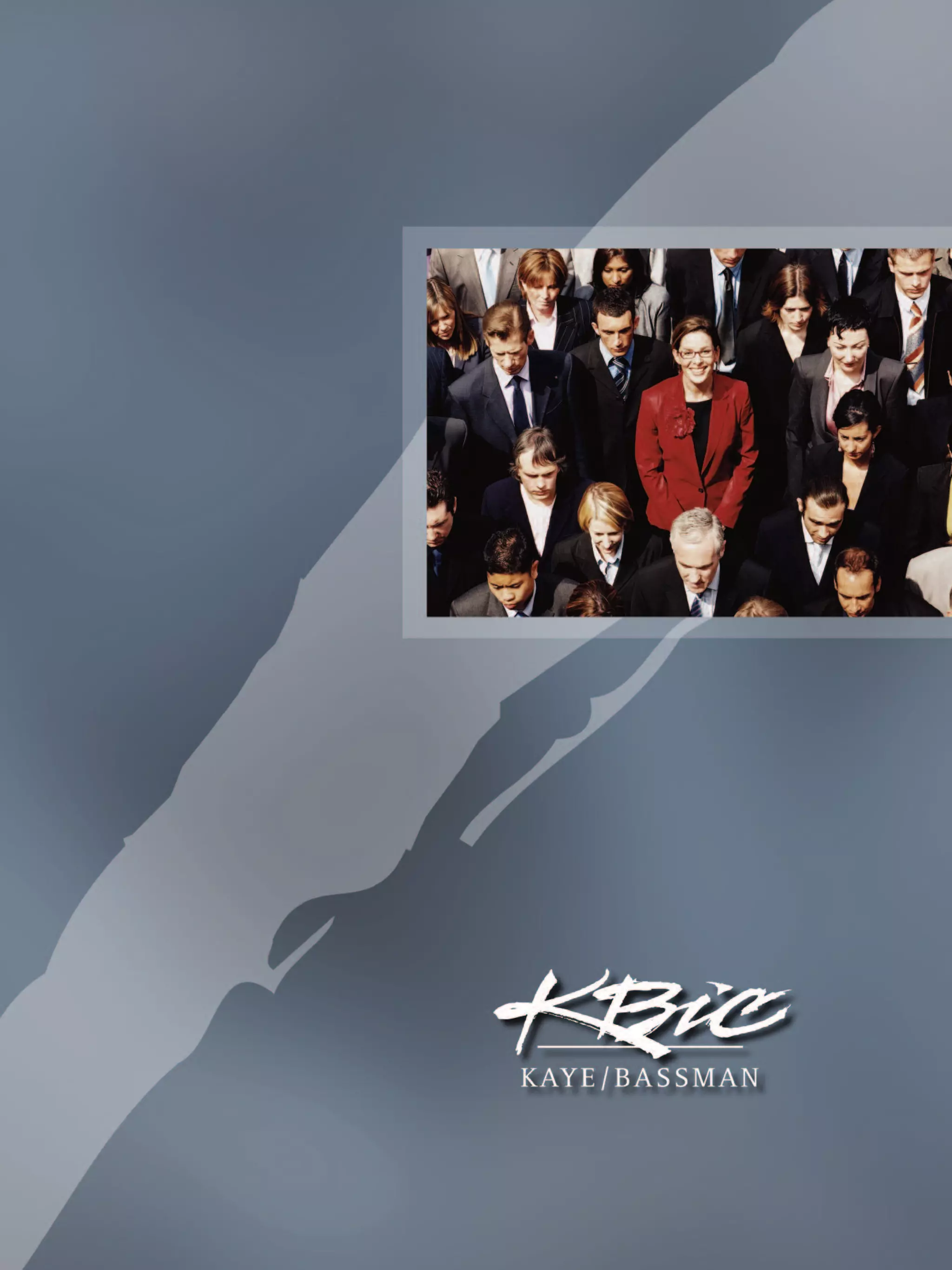 Kaye/Bassman Corporate Brochure | PDF