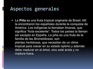 PRESENTACIÓN LA PIÑA | PPTX