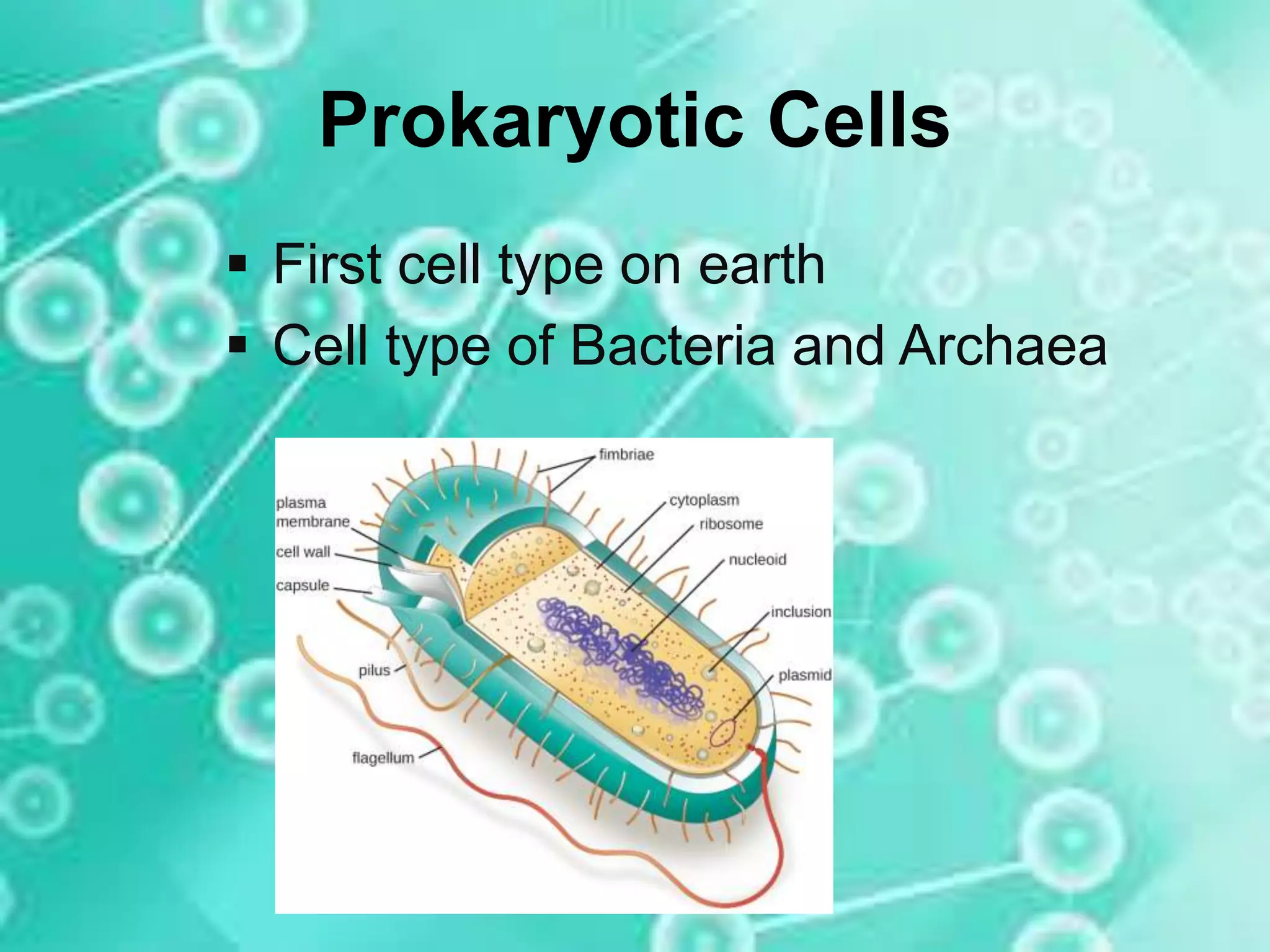 The Cell Structure and its Function (Kayla Tabarina) | PPT