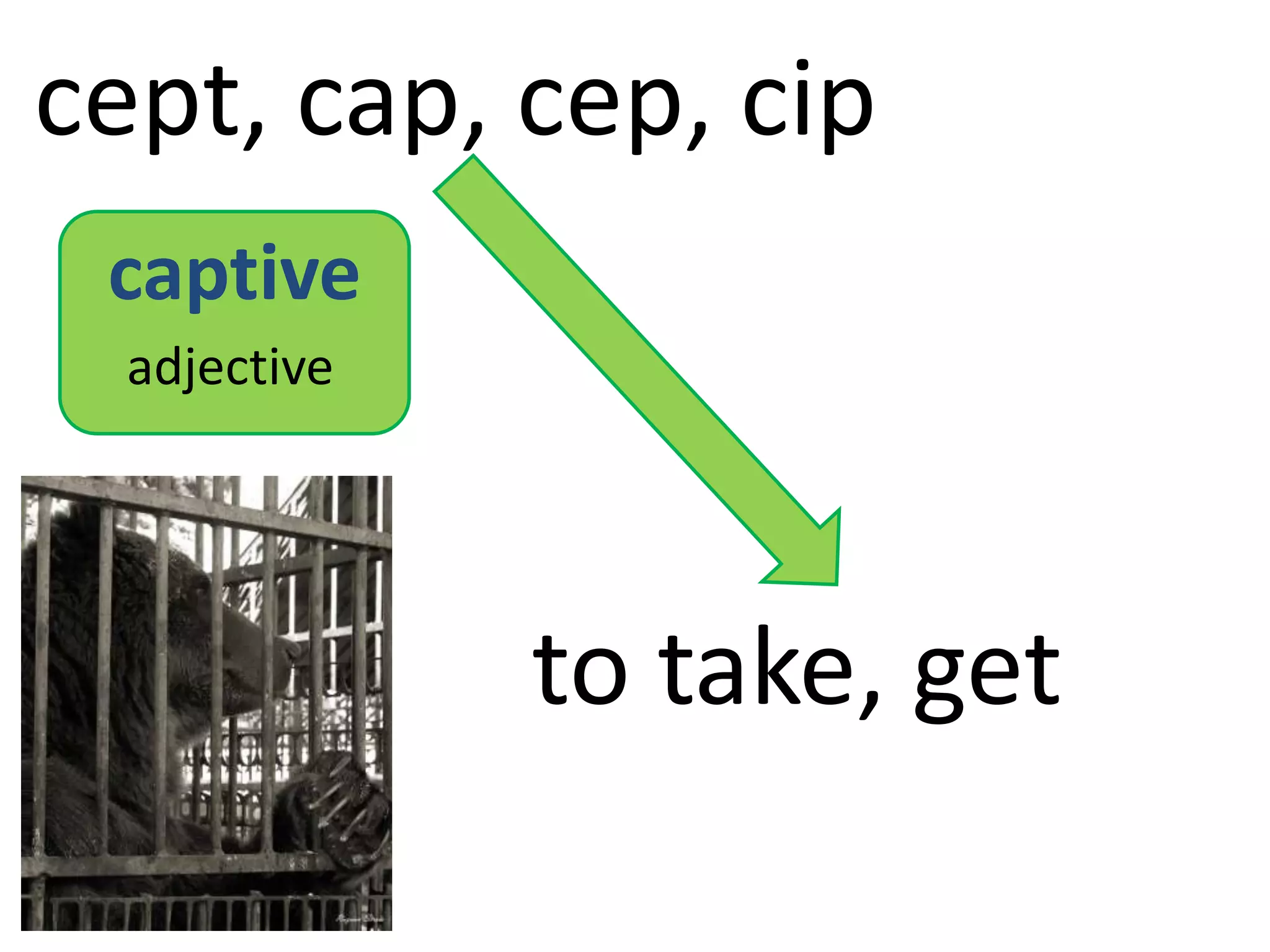 cept, cap, cep, cip | PPTX