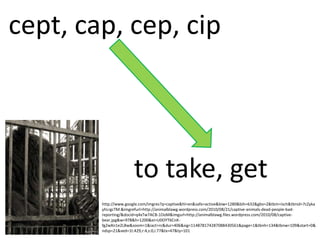 cept, cap, cep, cip | PPTX