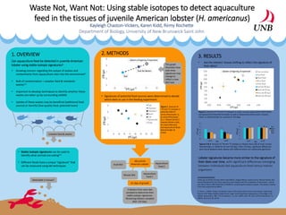 Honours Thesis Poster/Summary | PPT
