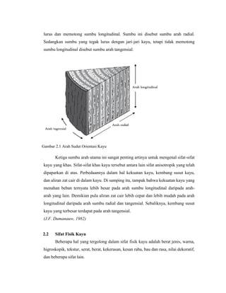 Struktur Kayu - Meranti Putih | PDF