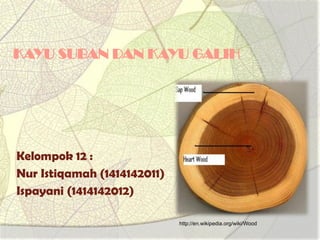 Anatomi Tumbuhan - Kayu Galih dan Kayu Suban.pptx