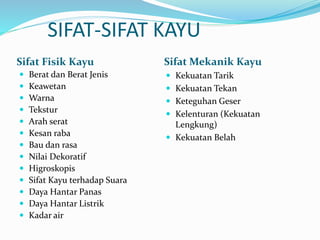 Kayu kelas II | PPTX