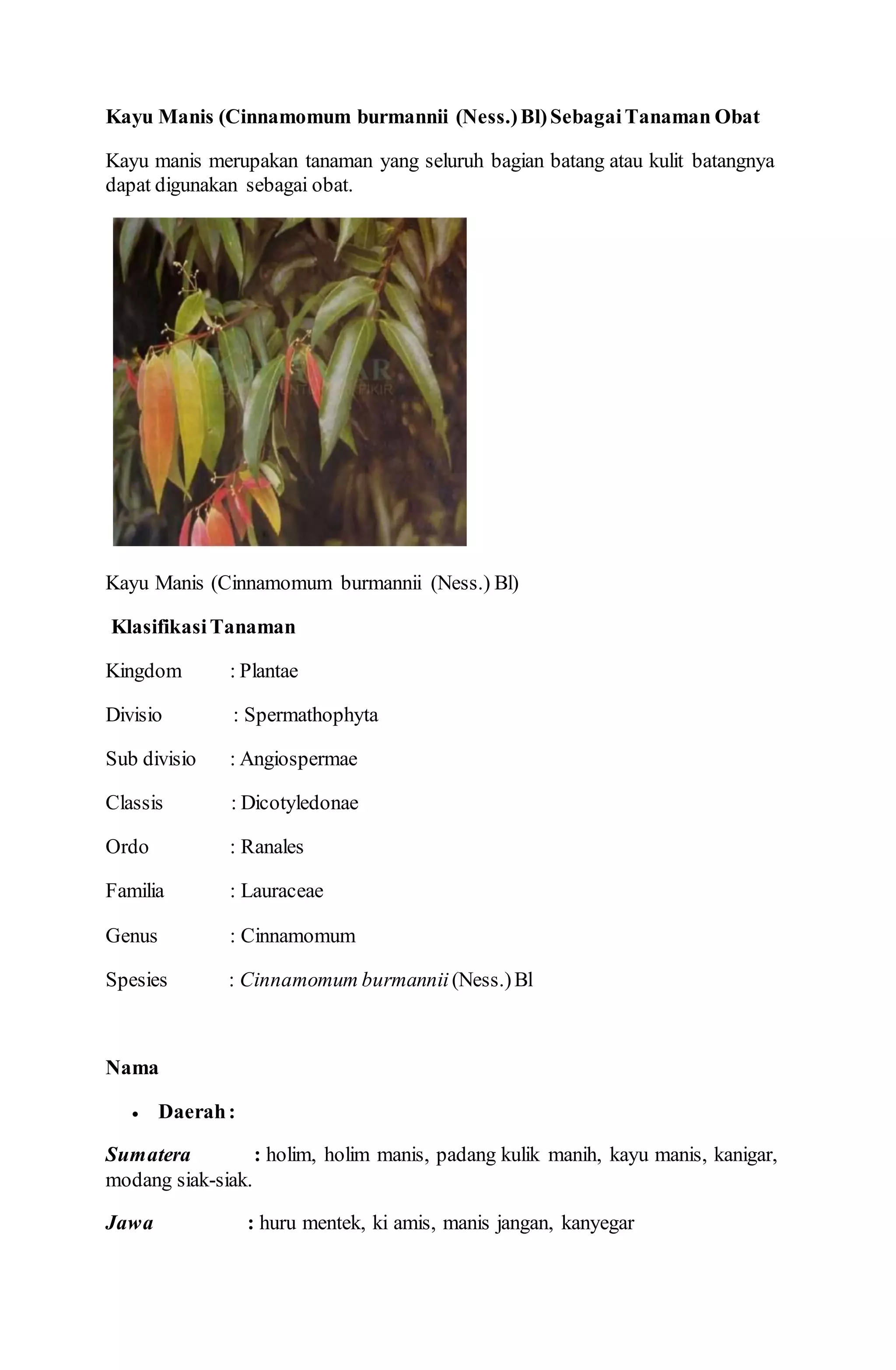 Kayu manis | DOCX