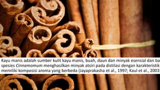 Indonesia Cinnamon for the World | PDF