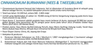 Indonesia Cinnamon for the World | PDF