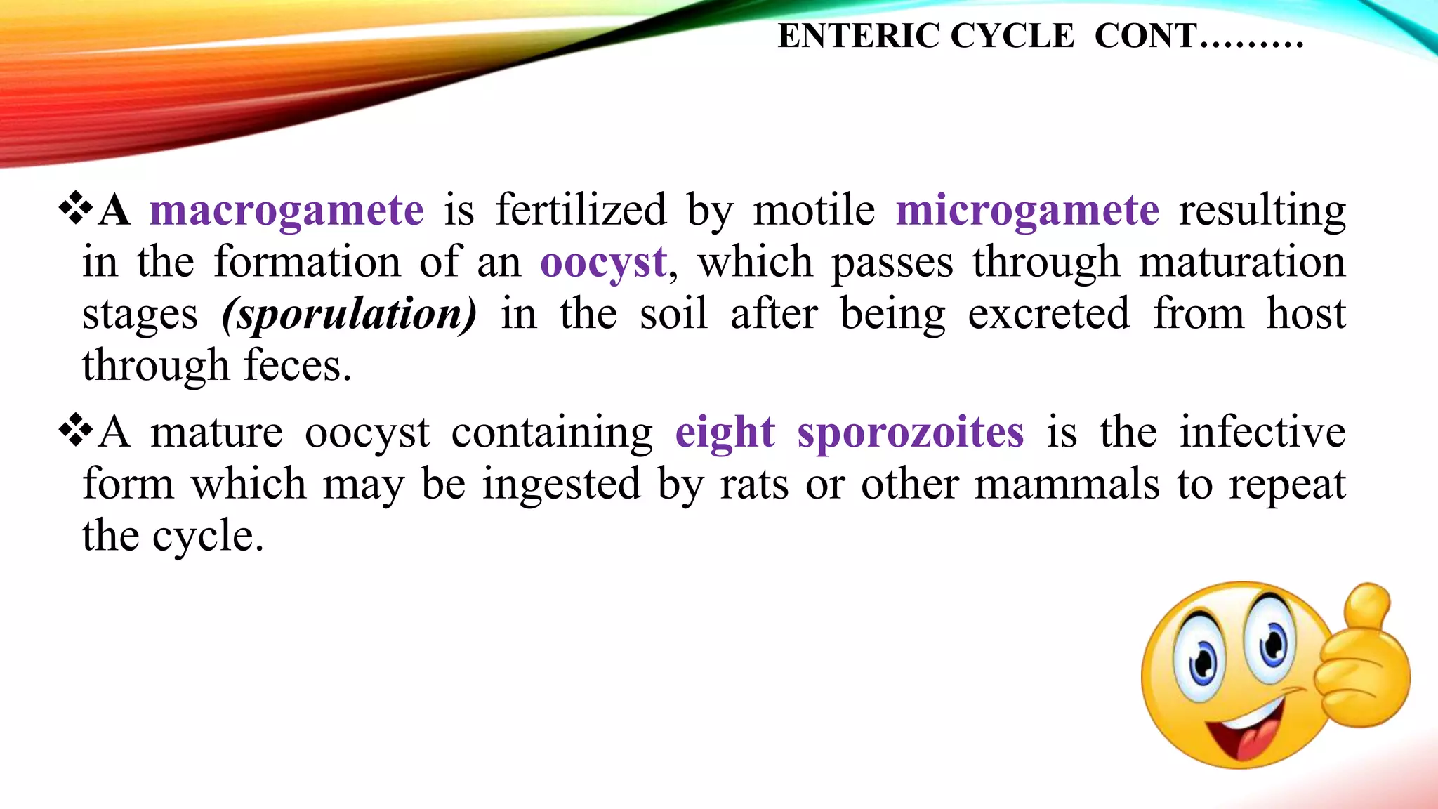 TISSUES PROTOZOANS (TOXOPLASMOSIS and ACANTHAMOEBIASIS) | PPT