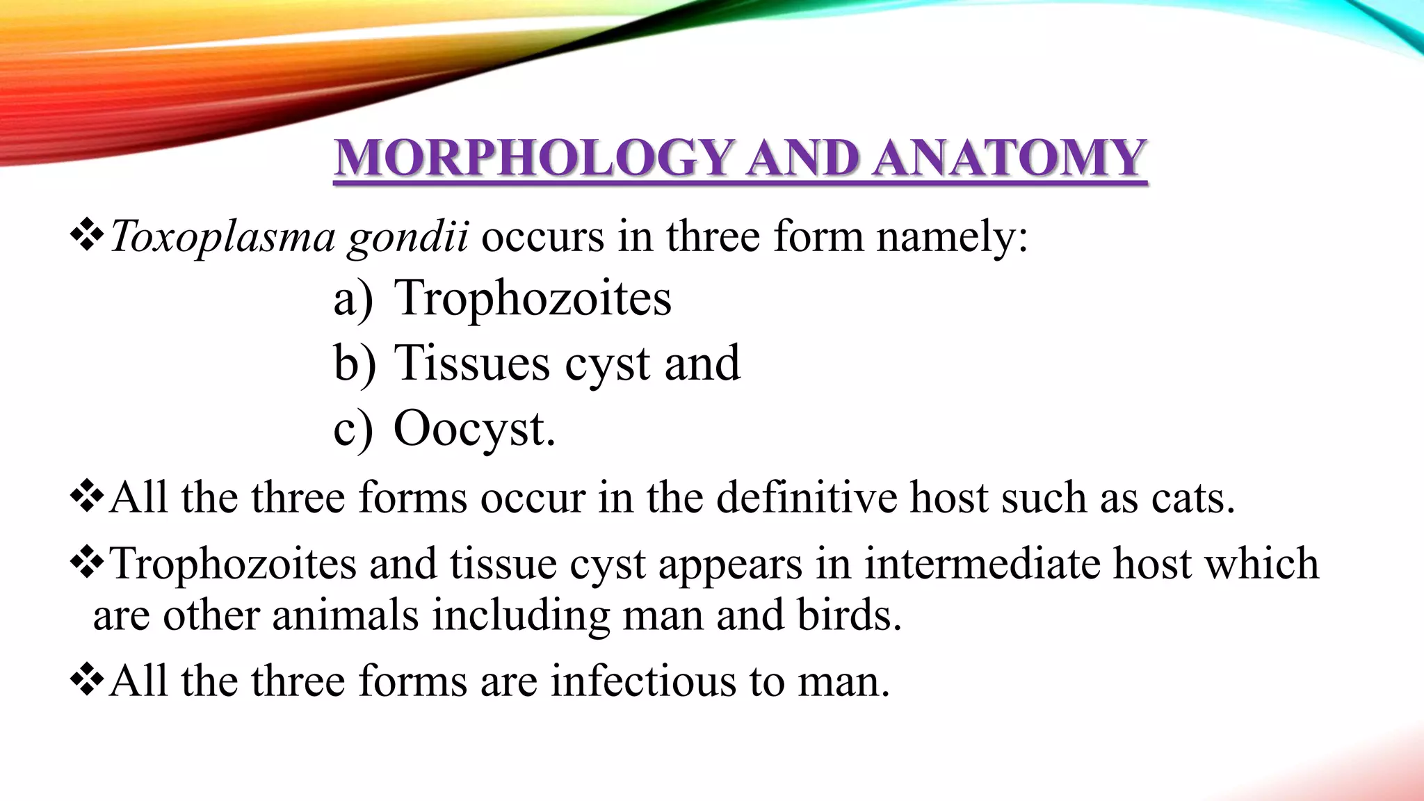 TISSUES PROTOZOANS (TOXOPLASMOSIS and ACANTHAMOEBIASIS) | PPT