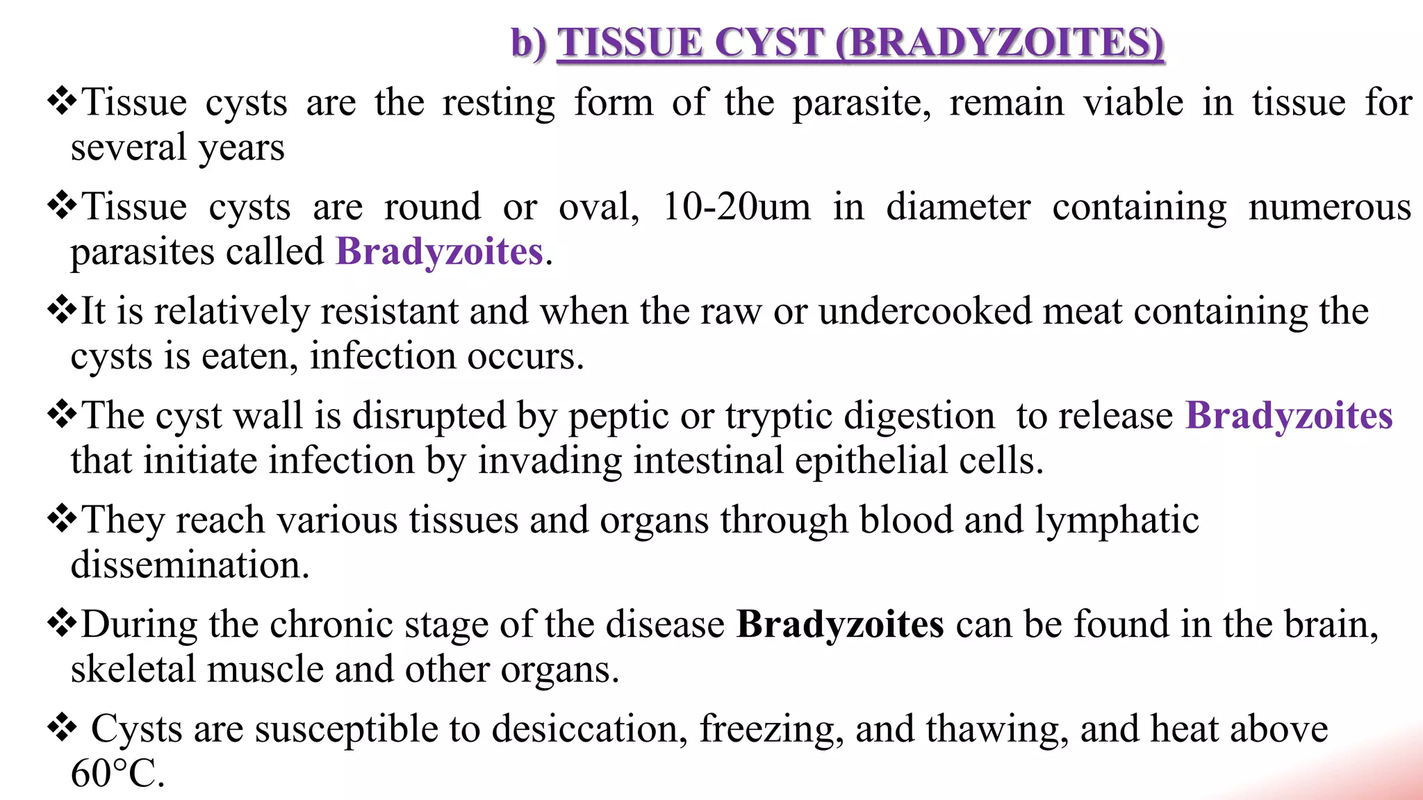 TISSUES PROTOZOANS (TOXOPLASMOSIS and ACANTHAMOEBIASIS) | PPT