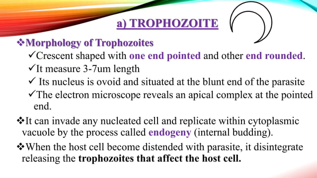 TISSUES PROTOZOANS (TOXOPLASMOSIS and ACANTHAMOEBIASIS) | PPT