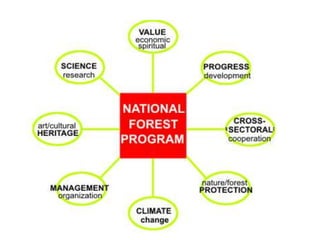 National Forest Program and Climate Change Challenges and Chances | PPT