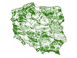 National Forest Program and Climate Change Challenges and Chances | PPT