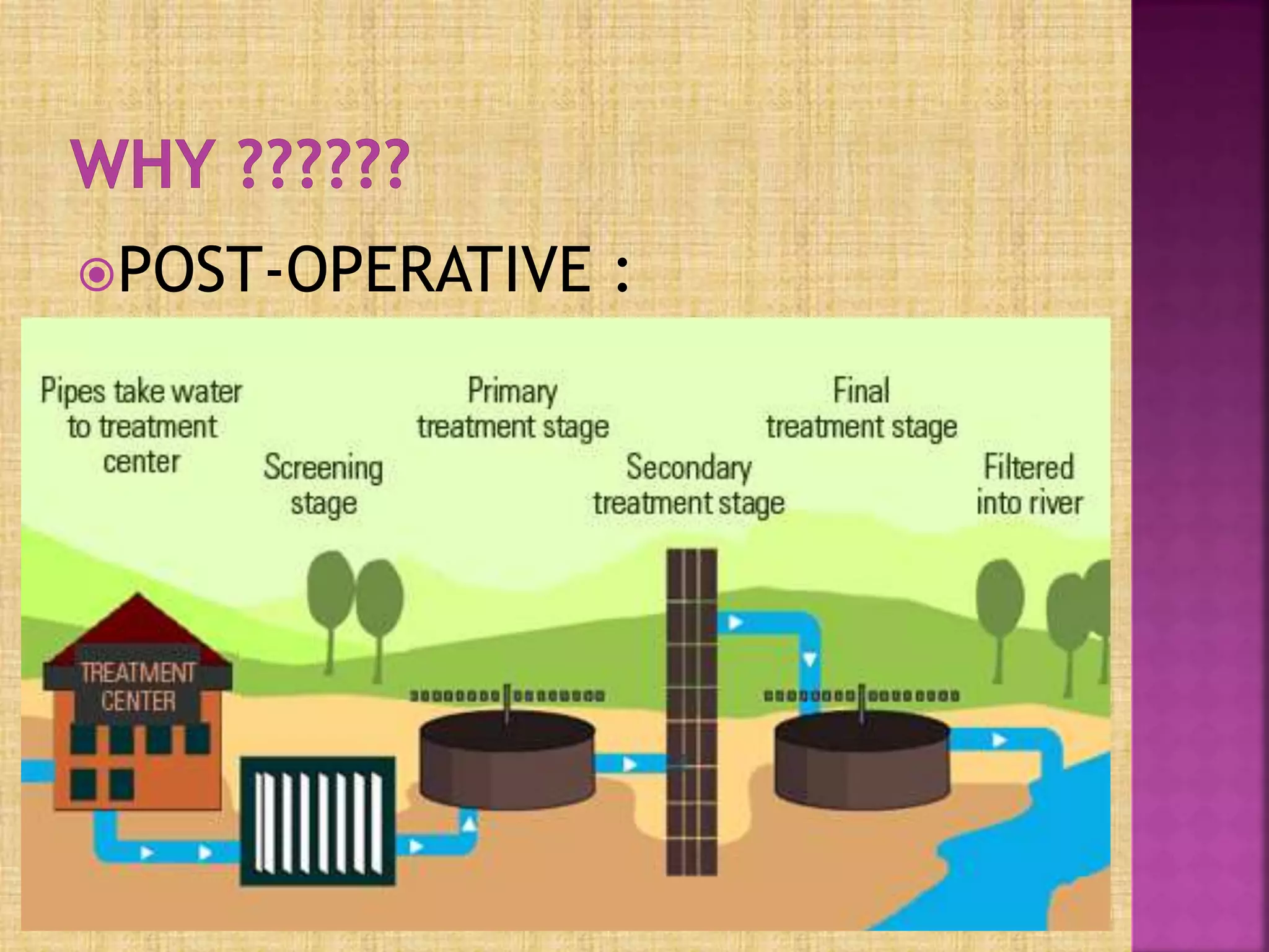Kazim tanveer | PPTX